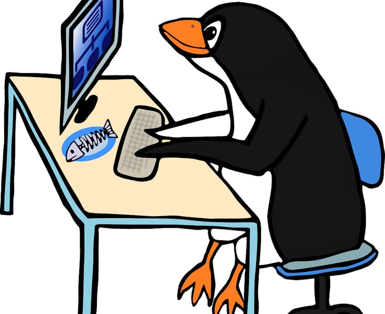 Best Linux Commands Courses Online With Certificates 2024 Coursera best-linux-commands-courses-online-with-certificates-2024-coursera